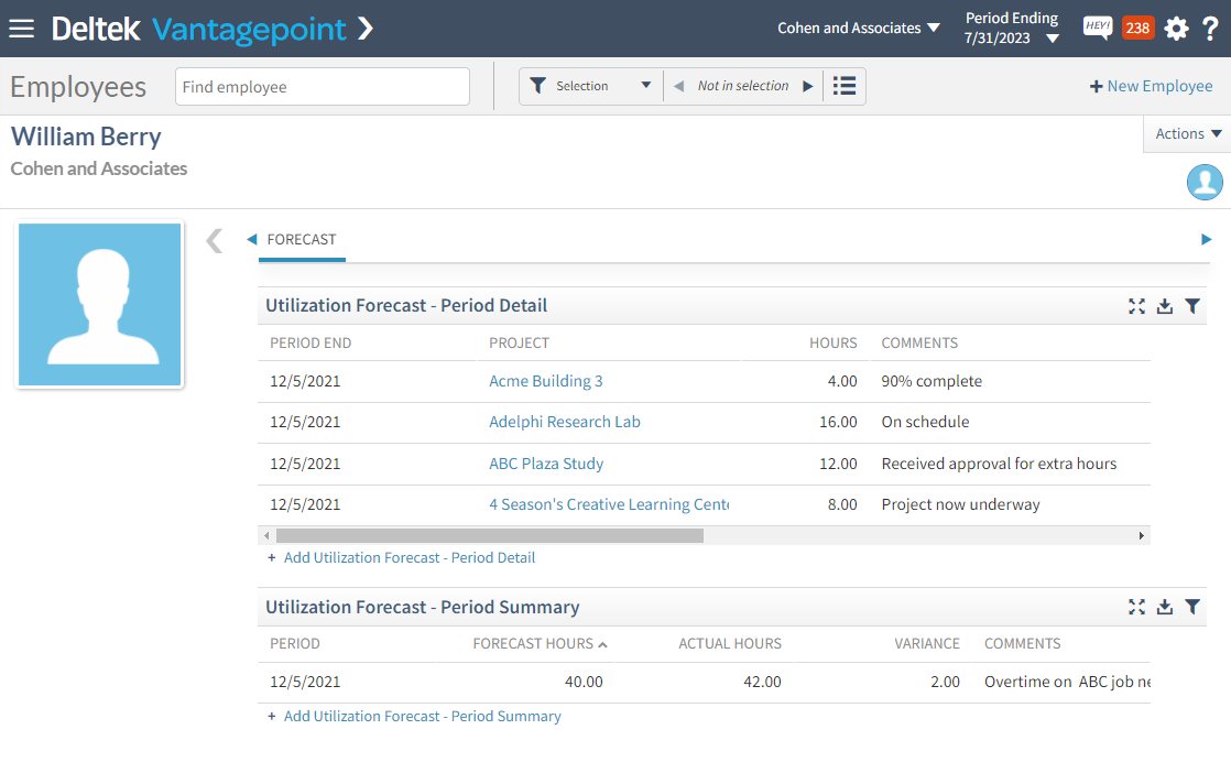 Project Control Lite - AMR Consulting